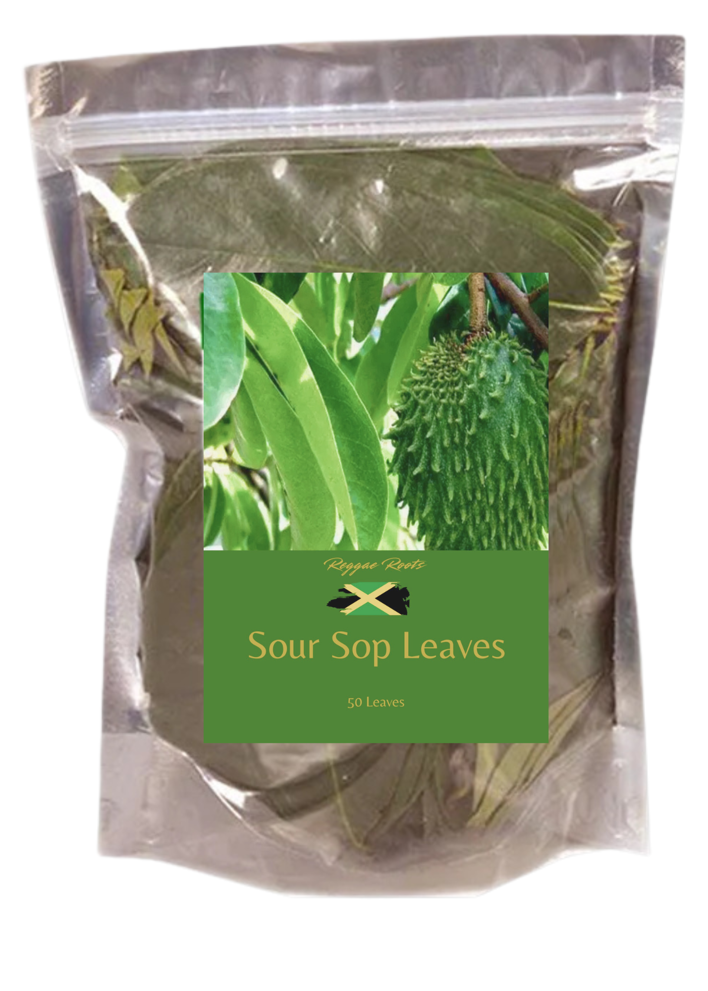 Jamaican Soursop Leaf Tea – 50 Leaves– Organic Handpicked Graviola Lea ...